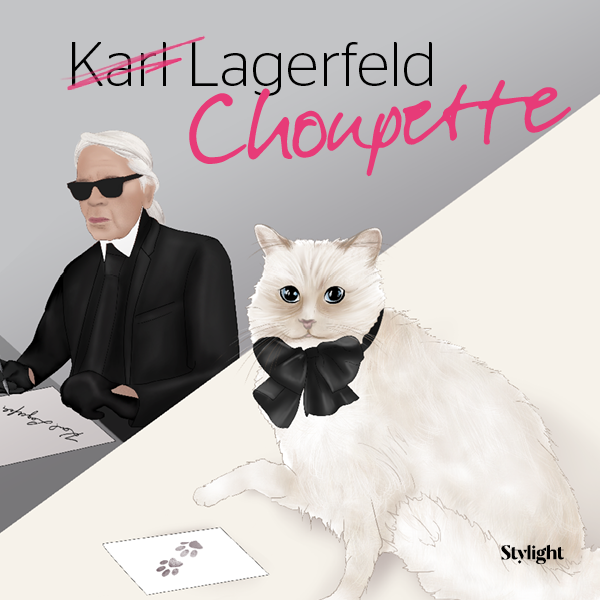 Karl Lagerfelds Katze Choupette als eines der erfolgreichsten Haustiere der Stars als Grafik
