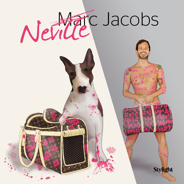 Marc Jacobs Hund Neville als eines der erfolgreichsten Haustiere der Stars als Grafik