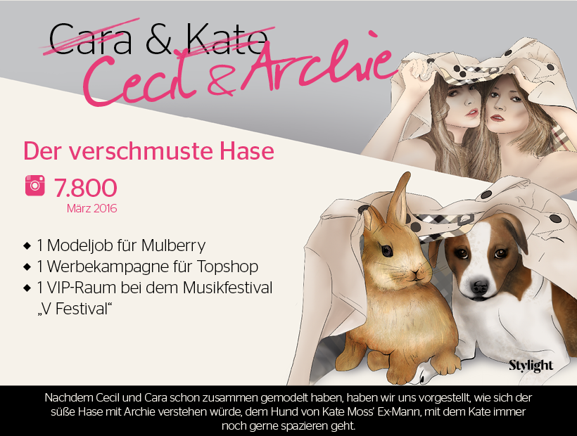 Die erfolgreichen Haustiere der Promis mit Cara Delevingnes Hase Cecil und Kate Moss´ Hund Archie