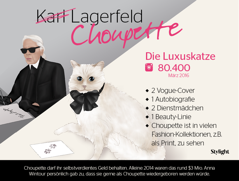 Die erfolgreichen Haustiere der Promis mit Karl Lagerfelds Katze Choupette